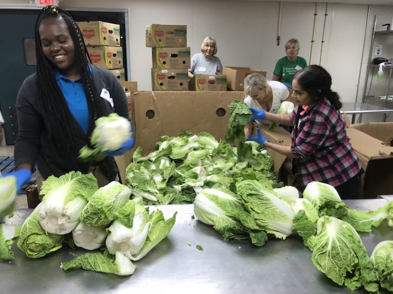 Why and How to Volunteer - Harry Chapin Food Bank