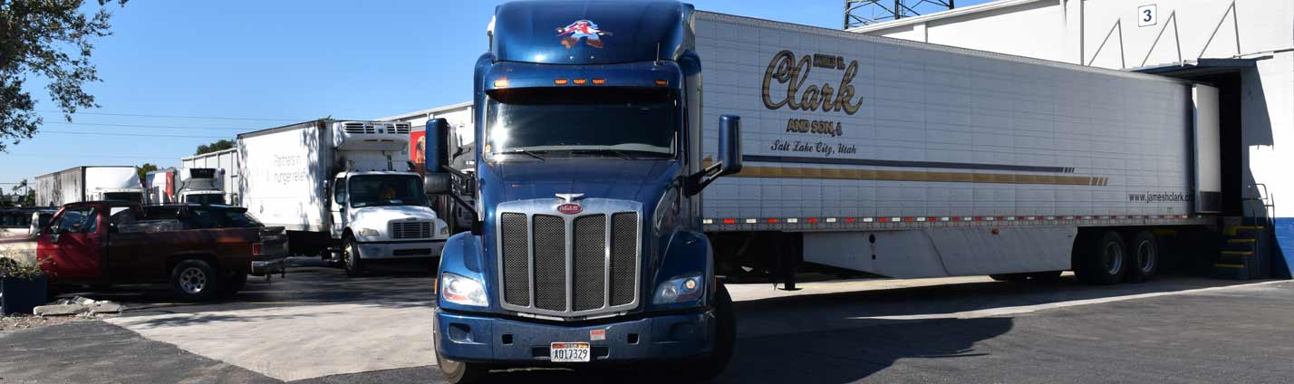 Our Food Chain - Harry Chapin Food Bank