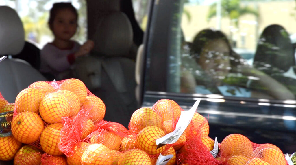 Harry Chapin Food Bank and the Coronavirus - March 30 - Harry Chapin ...